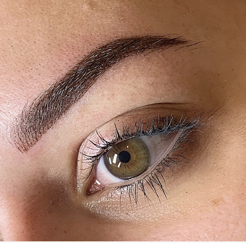 Microshading and Combo Brows in Mississauga - Inked Beauty