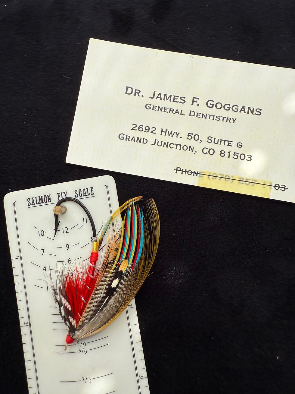 Dr. James Goggans Salmon Fly G5 | Doug Millsap