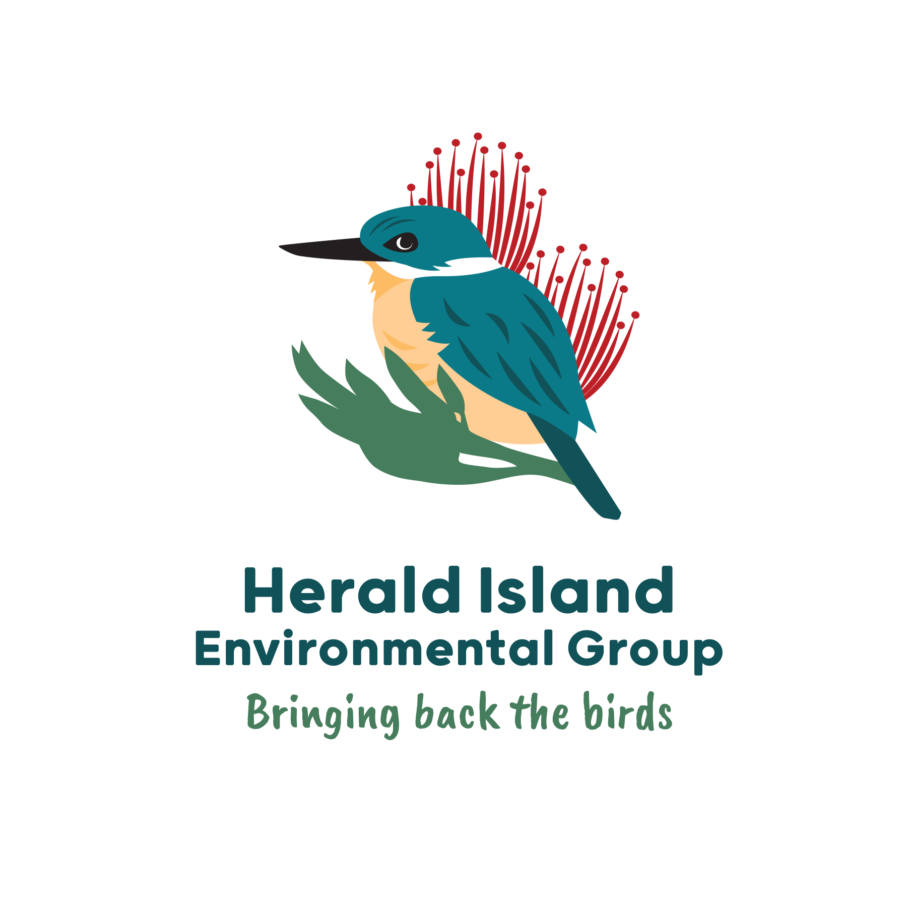 Clean Up and Mulching | Upper Waitemata Ecol