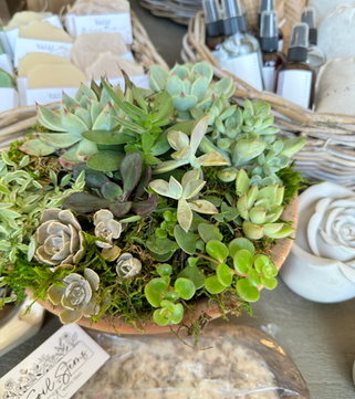 plan a visit | White Trail Club