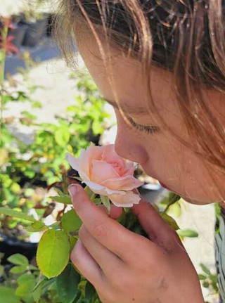 plan a visit | White Trail Club