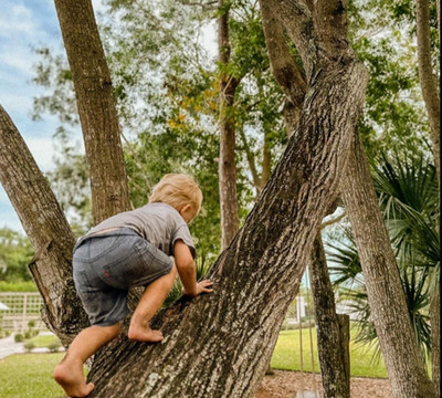 plan a visit | White Trail Club