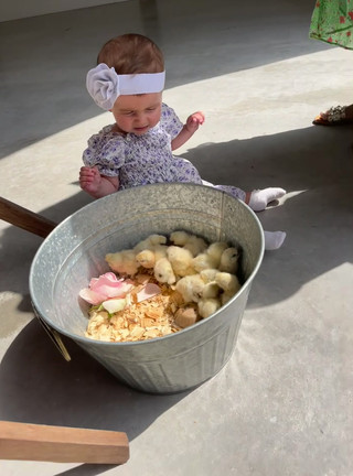 plan a visit | White Trail Club