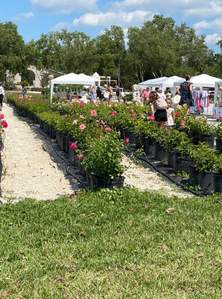 plan a visit | White Trail Club