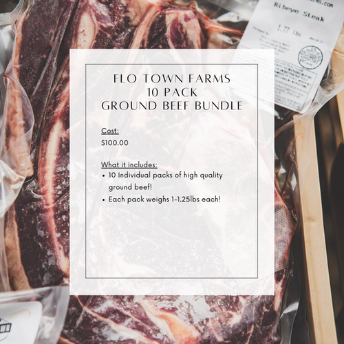10 Pack Ground Beef Bundle | Flo-Town Farms