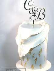 Platinum Cake Designs | Custom Birthday & Wedding Cakes | Custom Sugar ...