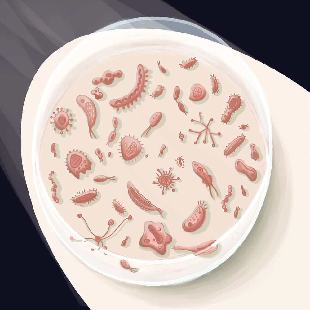 Scientific | yizhengillustration