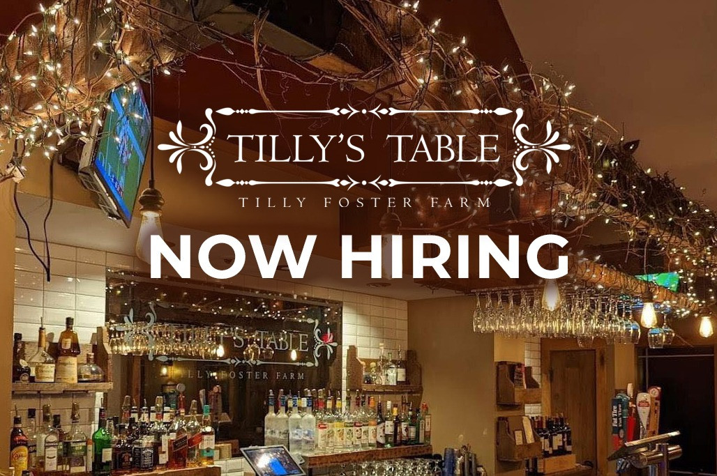 CAREERS | Tilly's Table