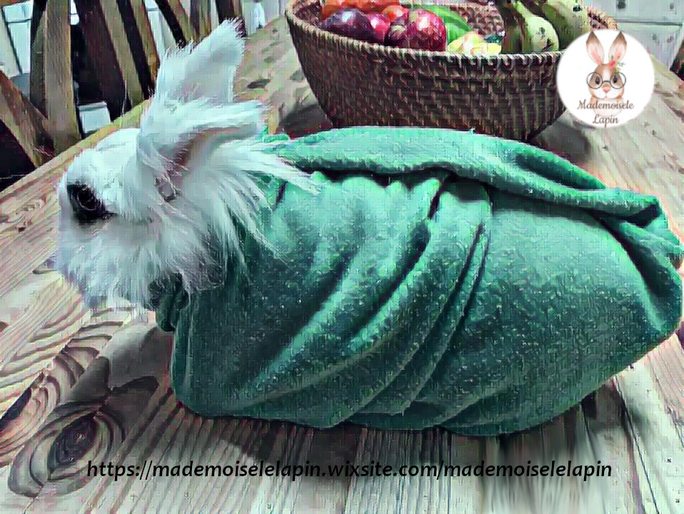 Bunny Burrito | Mademoisele Lapin