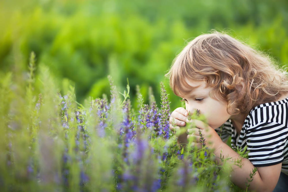 Planting with the Five Senses