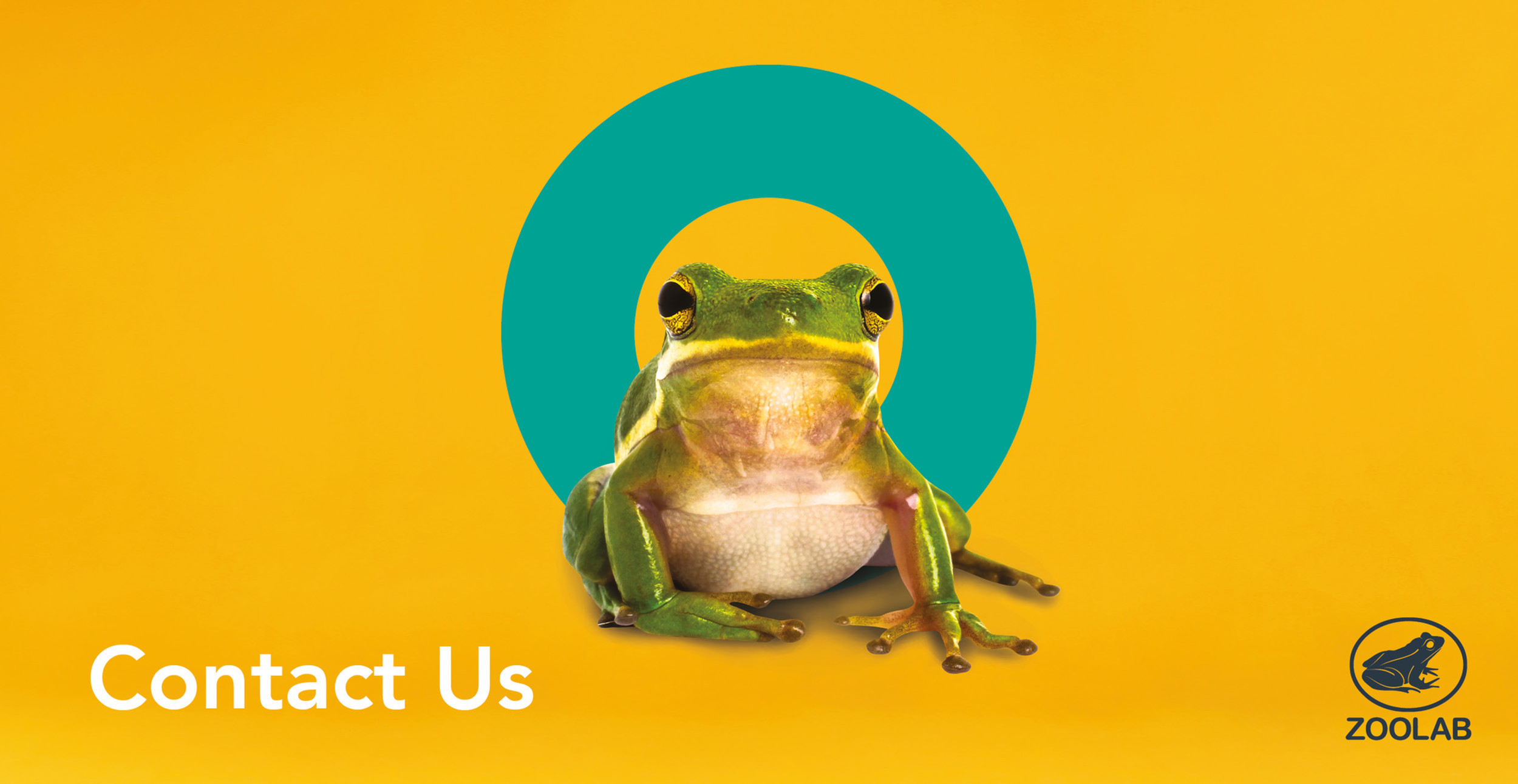 Contact Us | ZooLab | Animal Encounters