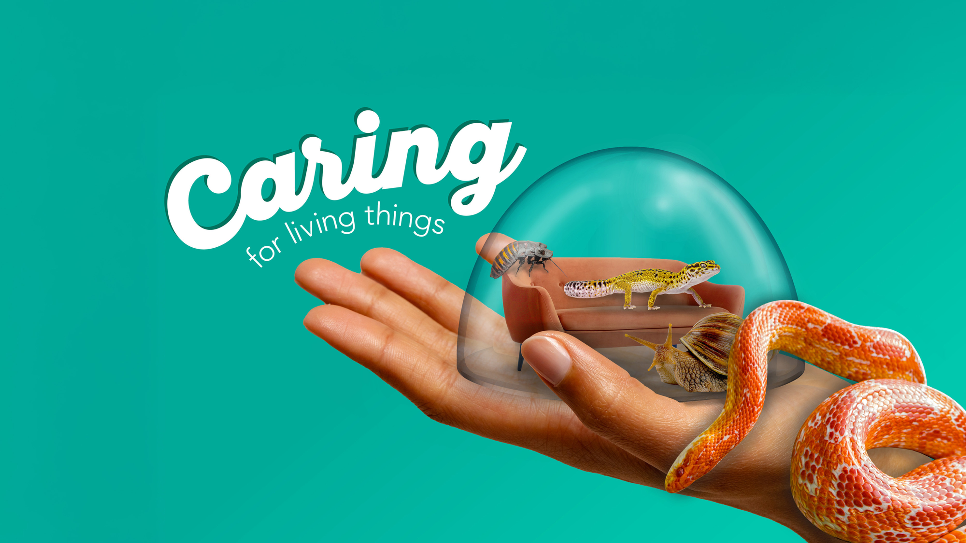 Caring For Living Things