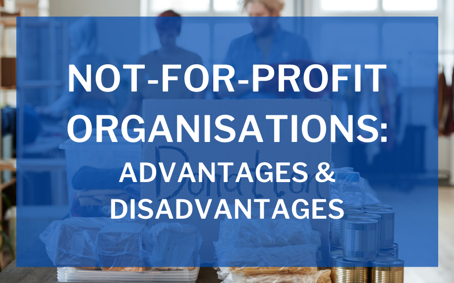 Not-For-Profit Organisations: Advantages and Disadvantages