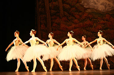 Creando tutus fascinantes