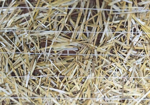 Erosion Control Blanket - Standard - Single Net - Straw | BMP Supplies Inc