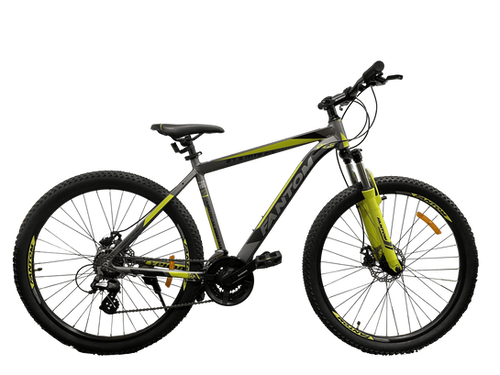 Fantom Typhoon 29T 21 Speed | The Bicycle Studio