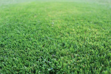 Turf Supplies Sydney - Buy Online and we deliver!
