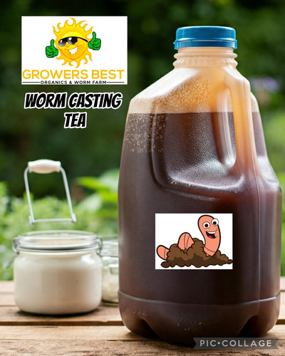 Worm Casting Tea | Growers Best