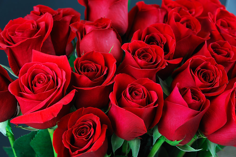 Flowers and Aphrodite; How the goddess came to love Adonis