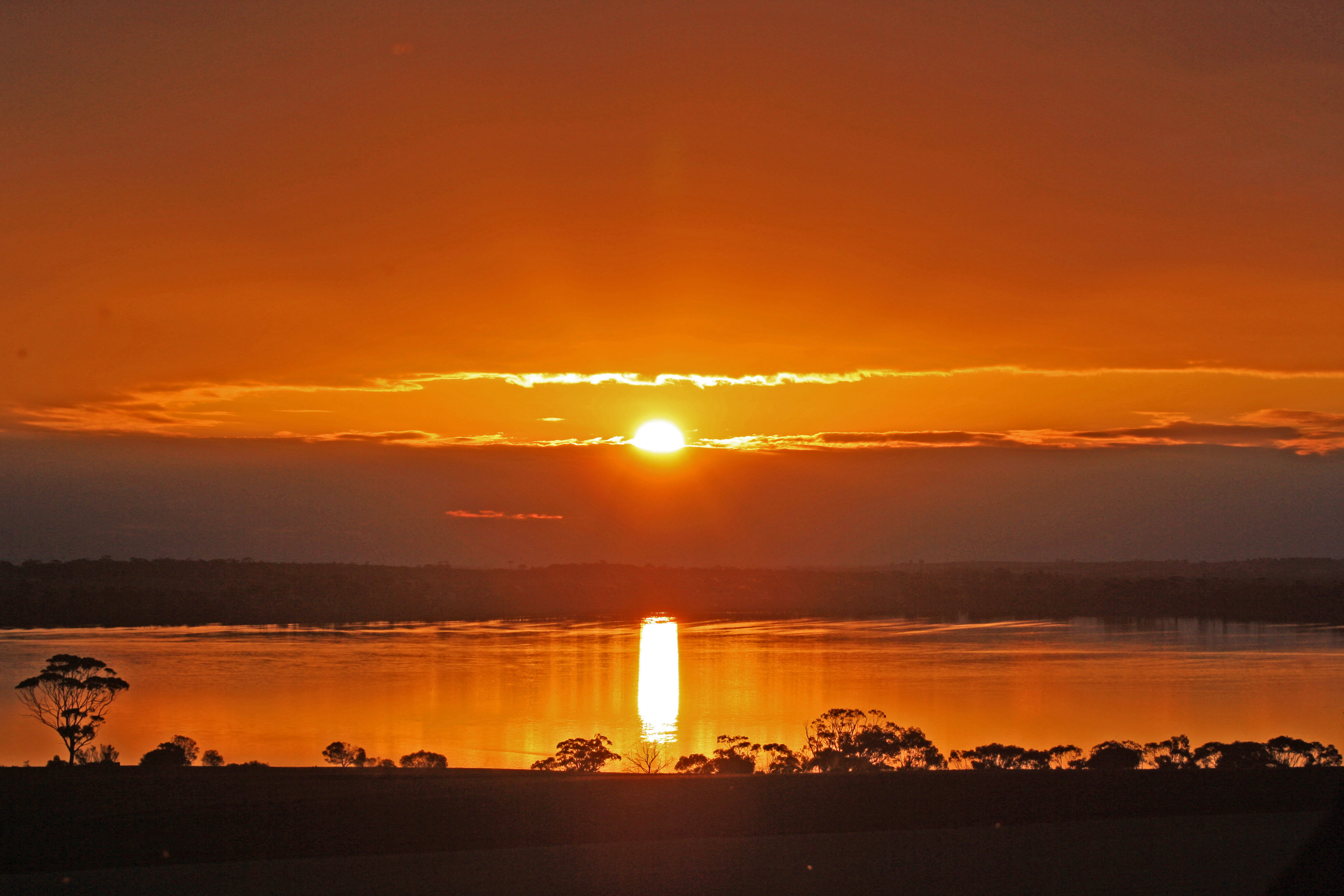 Shire of Dumbleyung Tourism | Accommodation, Attractions, Pubs, Coffee