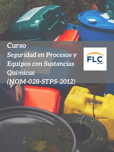 Curso Seguridad en Procesos y Equipos con Sustancias Químicas NOM 028 ...