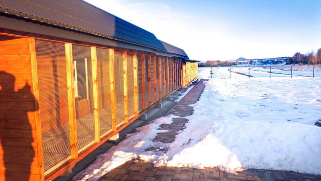 Strona Główna | WG PODHALE