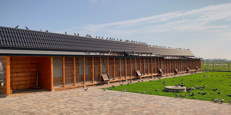 Strona Główna | WG PODHALE