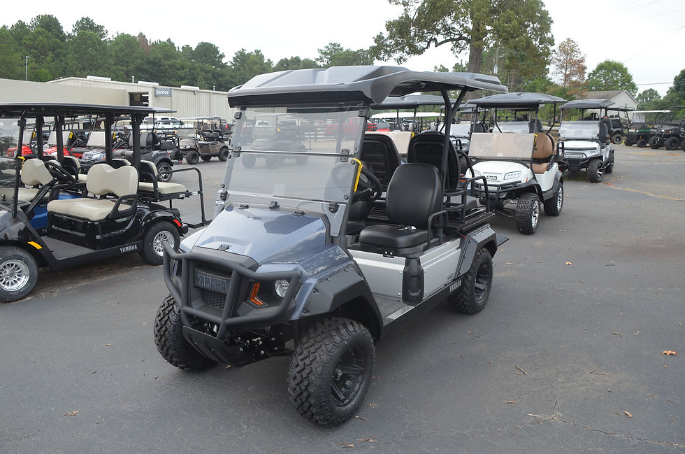 Mike's Golf Carts- Middle Georgia's Best New and Used Gas Golf Cart