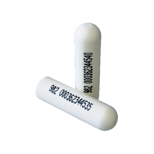 Bolo intraruminal | Agrivet