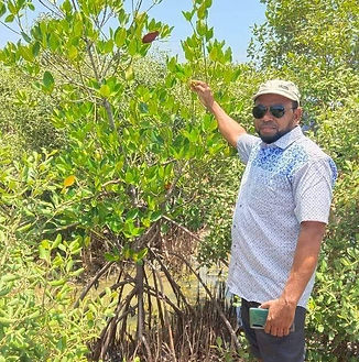 Mangrove Foundation India | Education and Ecological