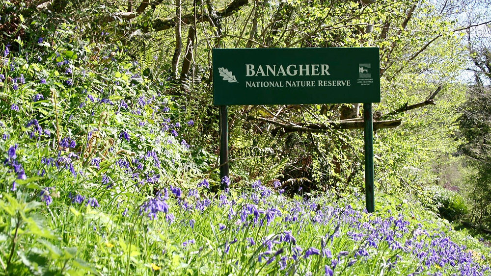 New enhanced visitor experience for popular Banagher Glen