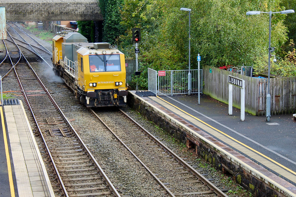 Translink tackling “leaf fall” to minimise disruption to trains