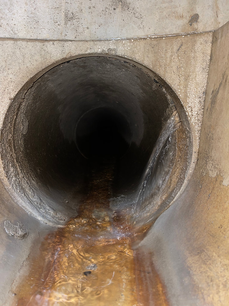 How Blocked Outdoor Drains Can Lead To Damp And Structural Problems