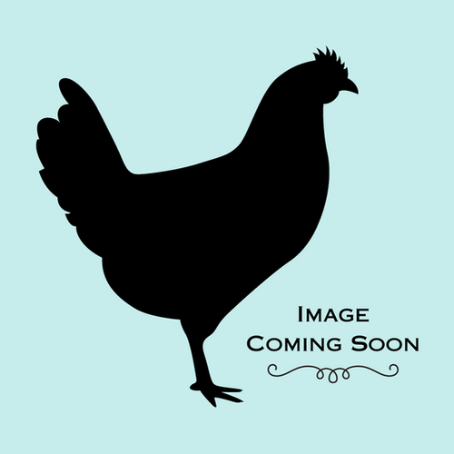 Crypt Walker | Agrarian Indy Online