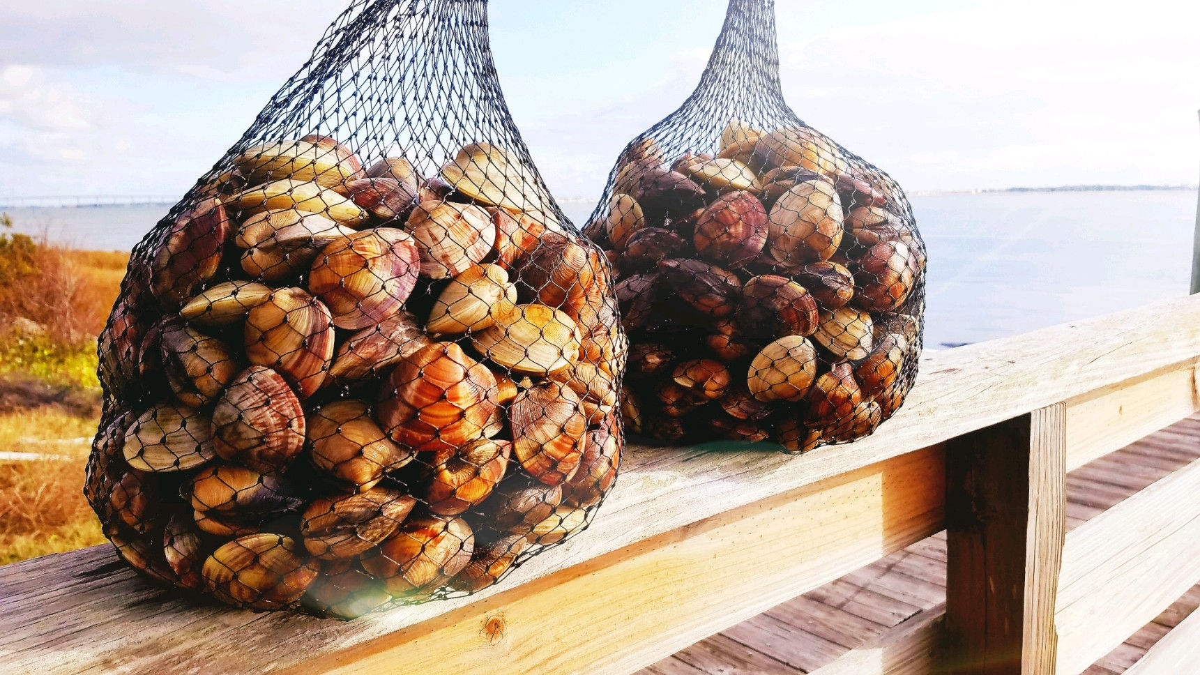 Home | Bogue Sound Shellfish Company