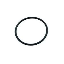 Pentair Bulkhead O-Ring | BermudaPoolSupplies