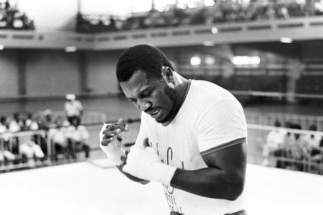 An Appreciation of a Champion
