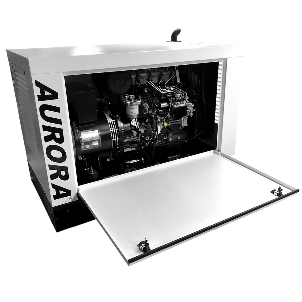 Shop Diesel Generators