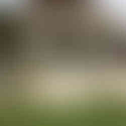 Event Venue | Kingsburg Historical Park | United States