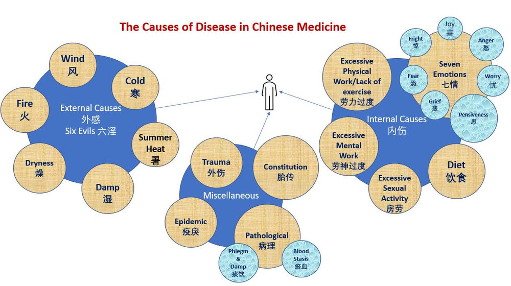 The Causes of Disease in Chinese Medicine