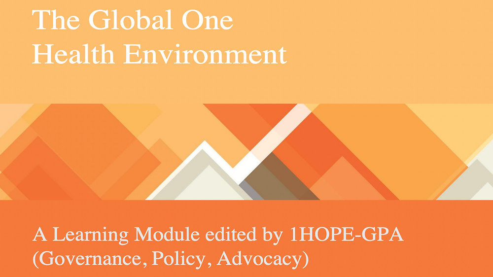 The Global One Health Environment