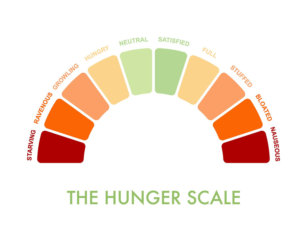 Understanding Your Body's Signals: The Intuitive Eating Hunger/Fullness ...