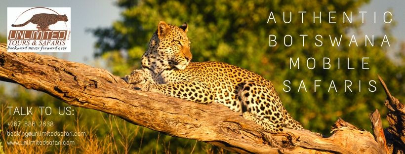 Authentic private, mobile Botswana Safari | Unlimited safaris