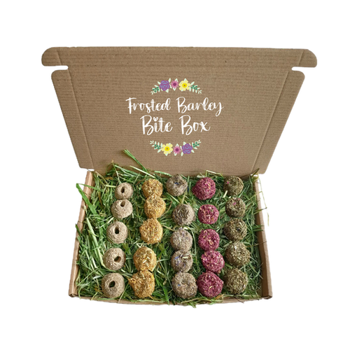 Frosted Barley Bite Box | The Paisley Patch
