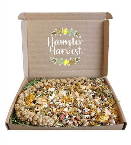 Hamster Harvest Forage Box | The Paisley Patch