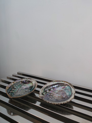 shell serving plates (set of 2) | Elisabeth Herzog