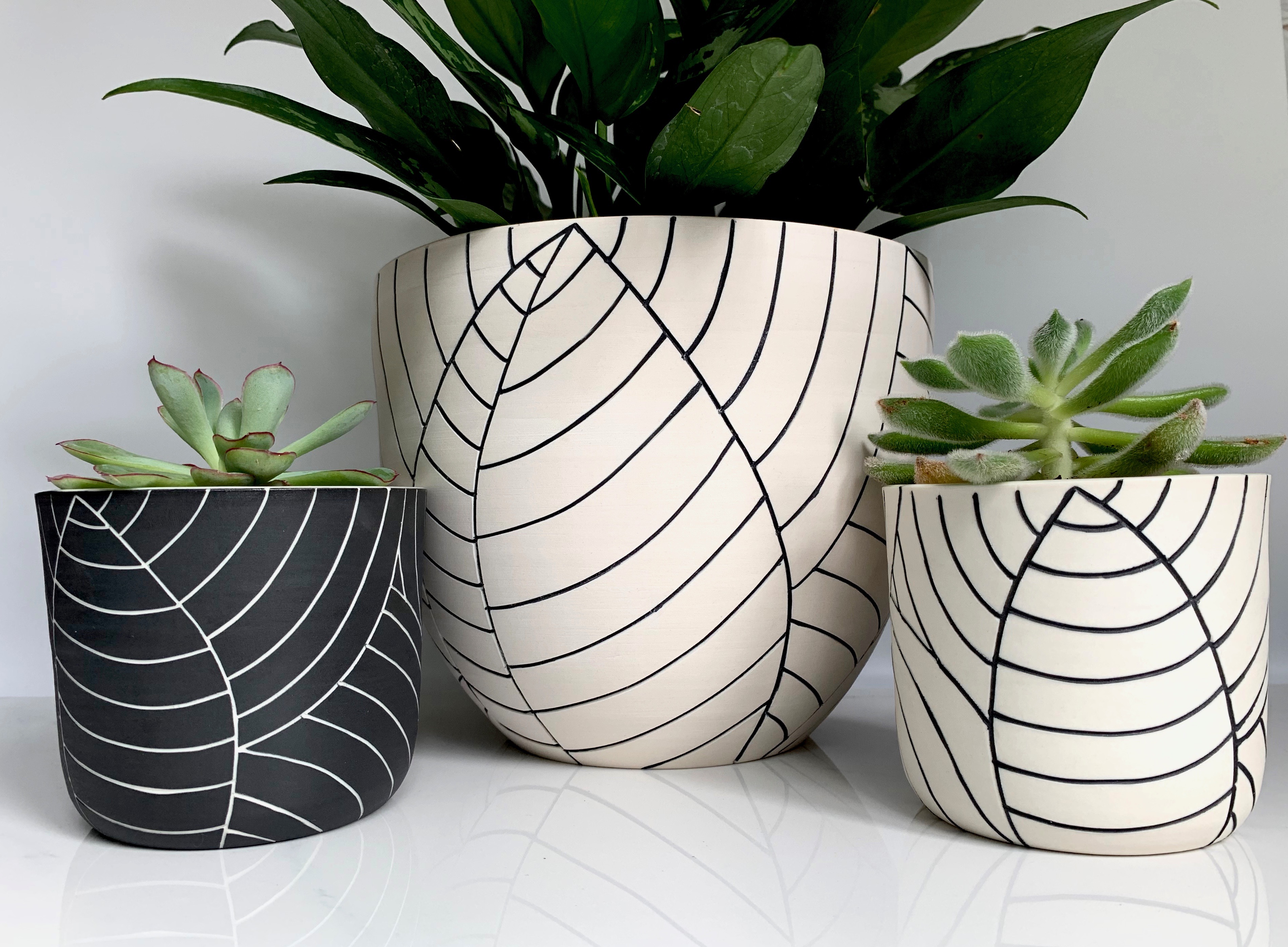 Jennifer Spring Ceramics (JSC), modern handmade ceramics