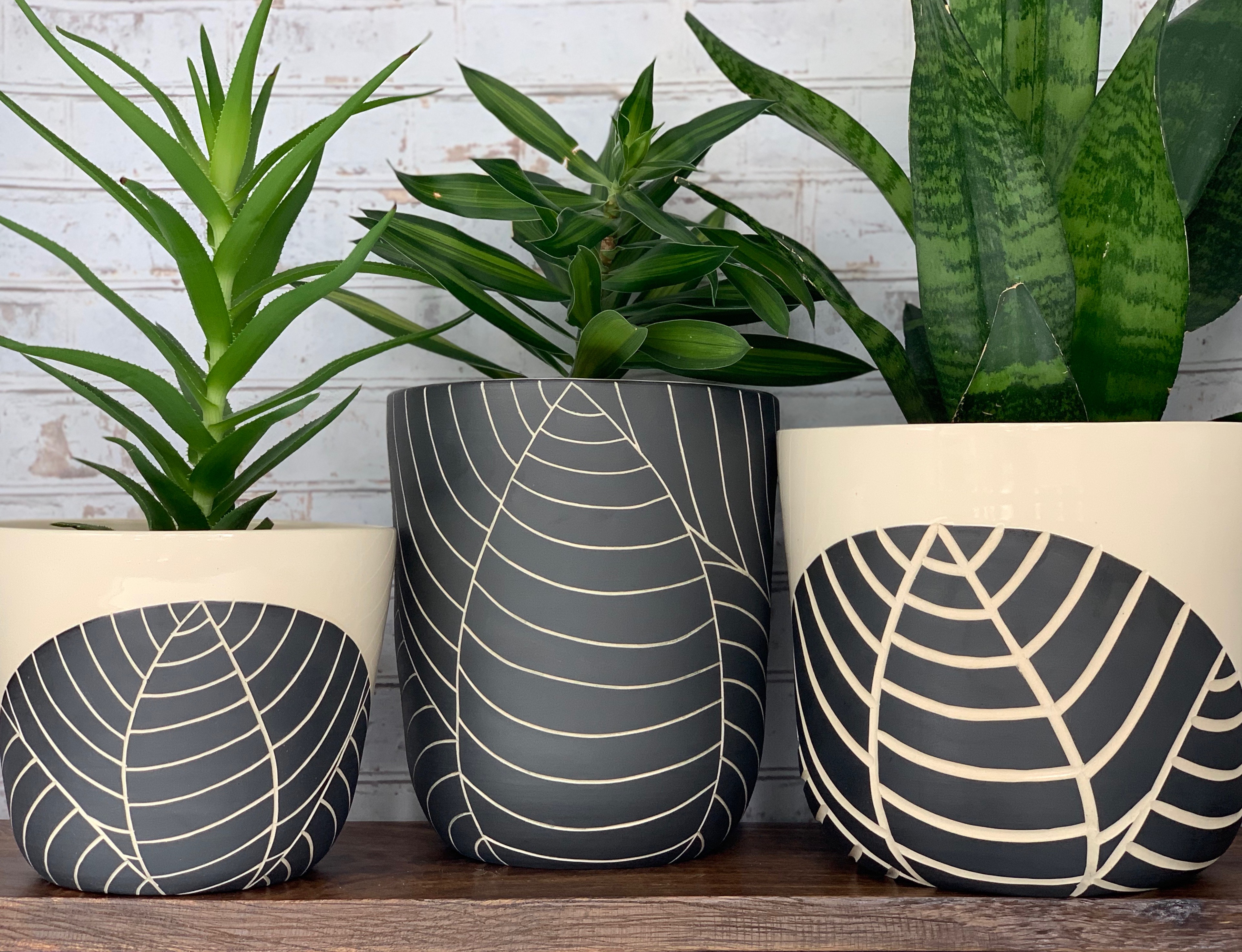 Jennifer Spring Ceramics (JSC), modern handmade ceramics