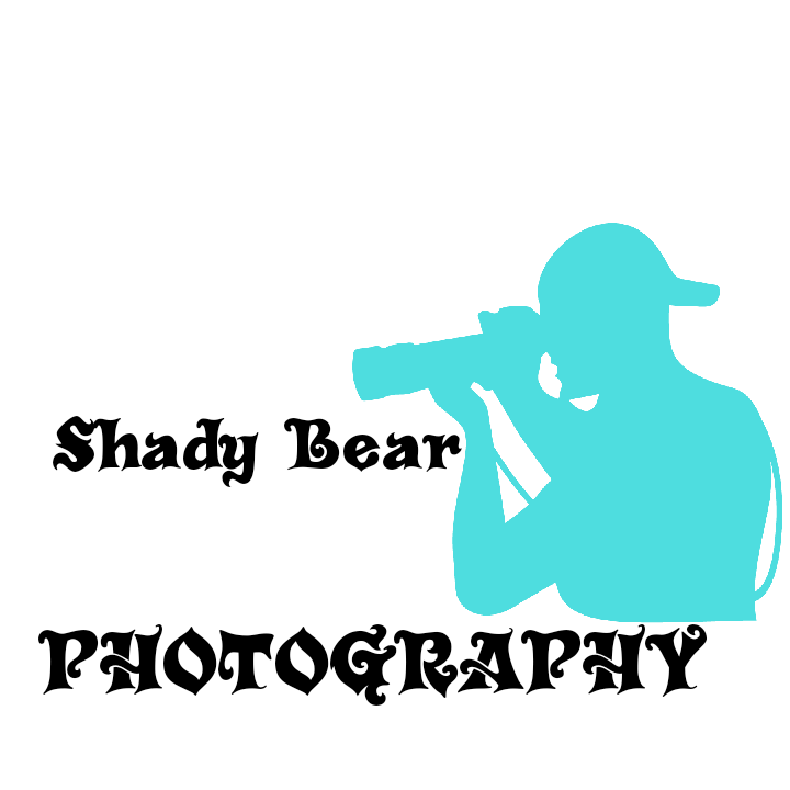 Shady Bear Photography