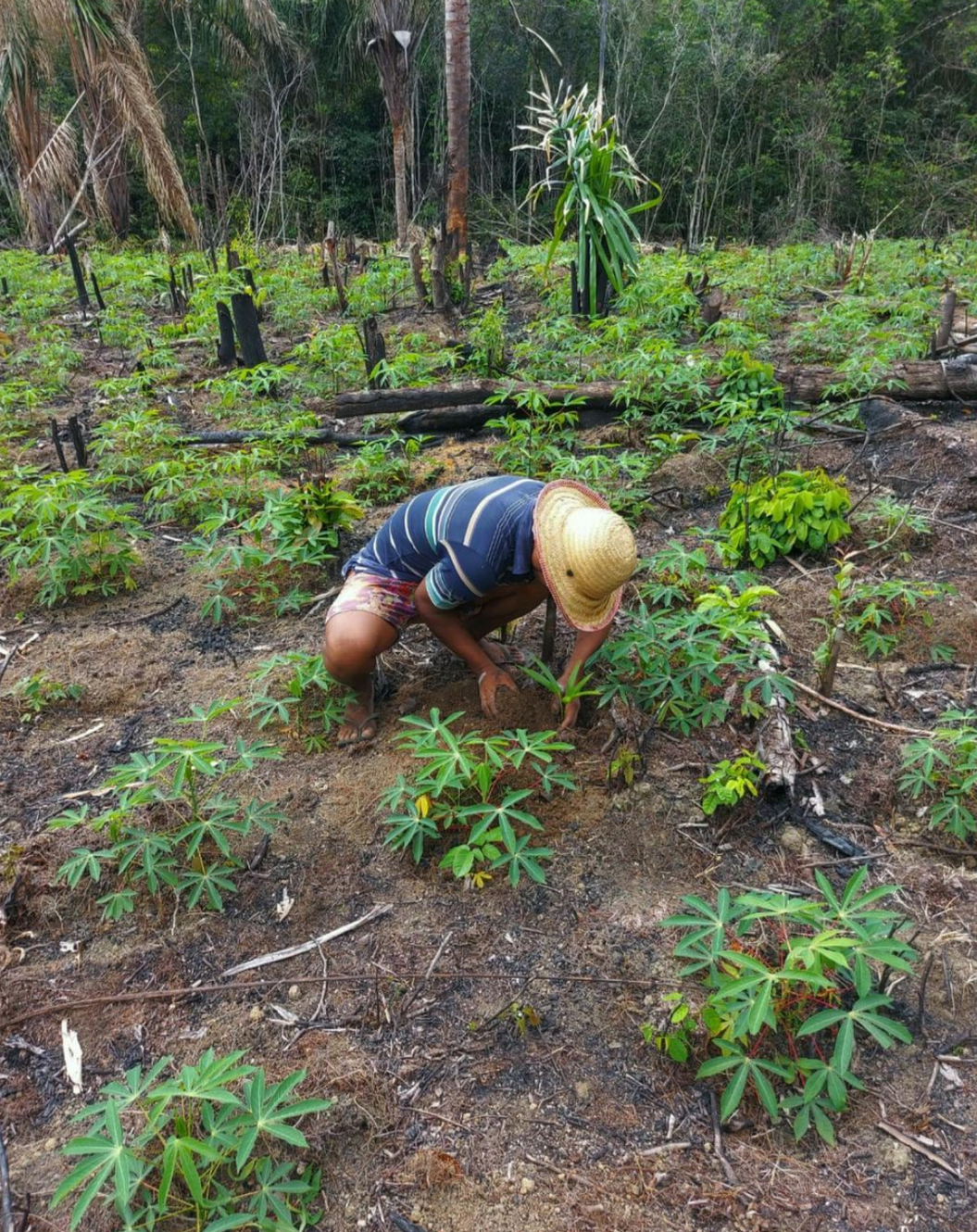 Casos e Projetos | WeWe